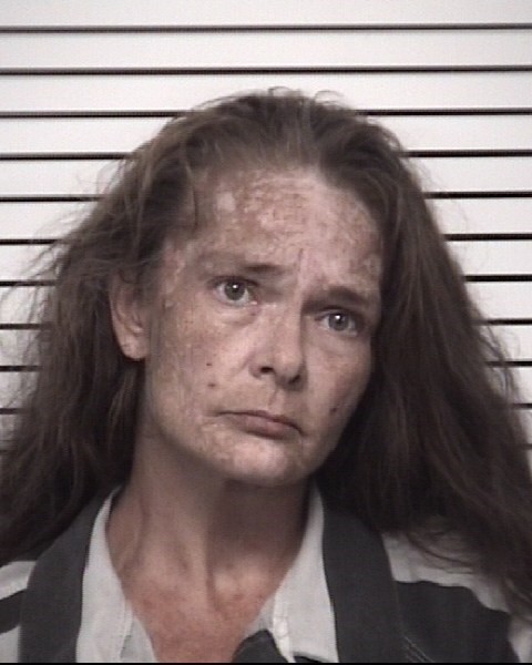 Sheriff: Thirteen suspects face felony charges as a result of ongoing ...