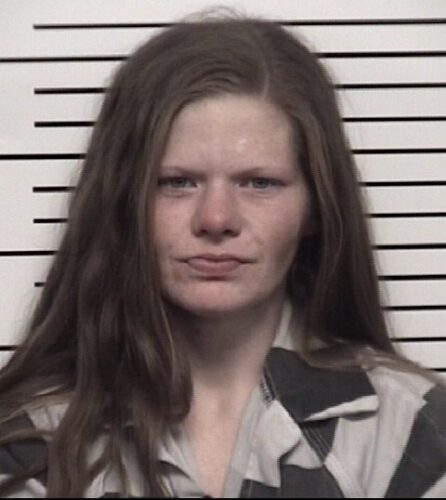 Sheriff: Undercover narcotics investigation leads to arrests of 19 ...