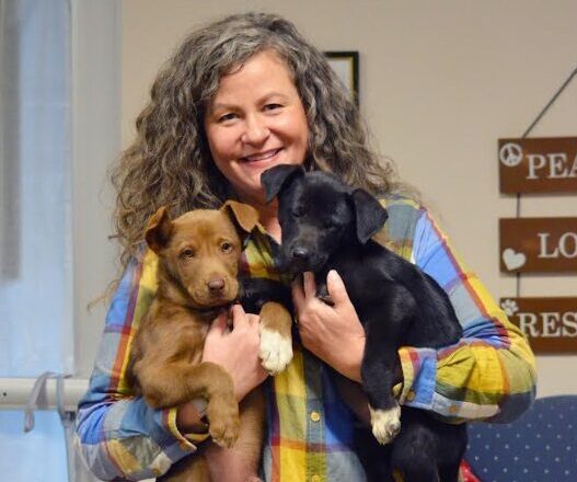 Engaging the community to save animals | Iredell Free News