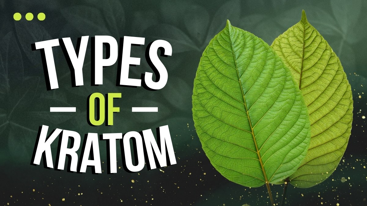 Types of Kratom: Everything You Need to Know About Kratom Strains
